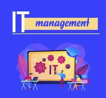 Professional (Online) Certificate In IT Management 2023