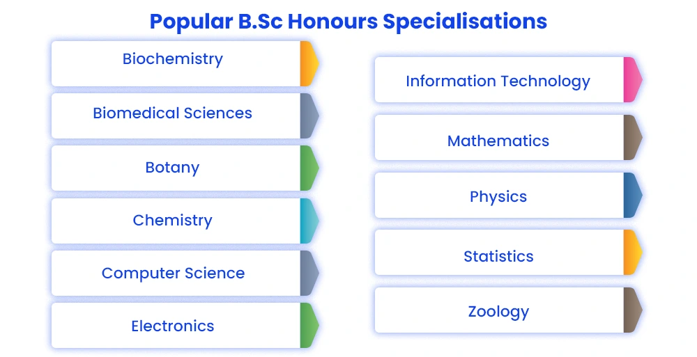 Difference Between BSc And BSc Honours Which Is Better 